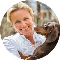 Tierklinik Hutter - das Gesundheitszentrum für Kleintiere 1190 Wien