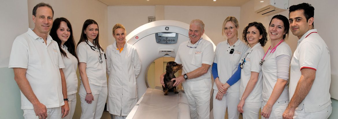 Tierklinik Hutter - das Gesundheitszentrum für Kleintiere 1190 Wien